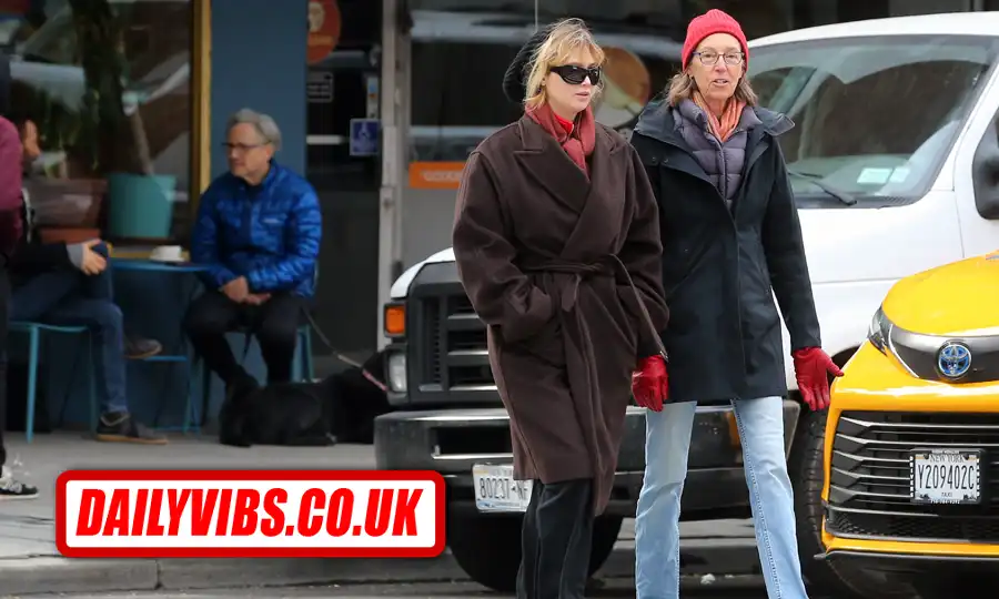 Exploring the Journey of Suki Fredericks - dailyvibs.co.uk